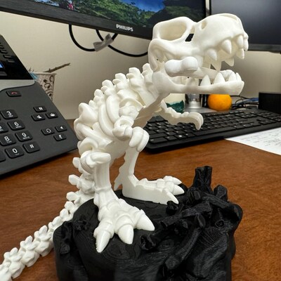 Flexi Print-in-place Fish STL File for 3D Printing Active - Etsy