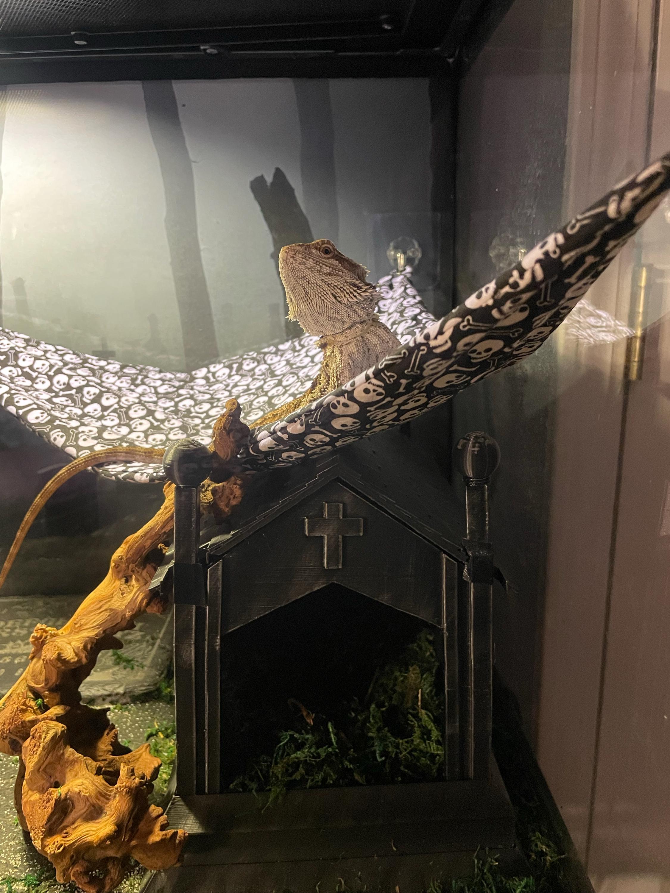 24" 600mm High Roof/floor Hide 280mm Diameter 85mm Deep With Large ...