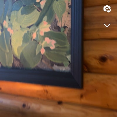 Green Paint, KUDZU Chalk Paint, Dixie Belle Chalk Mineral Paint ...