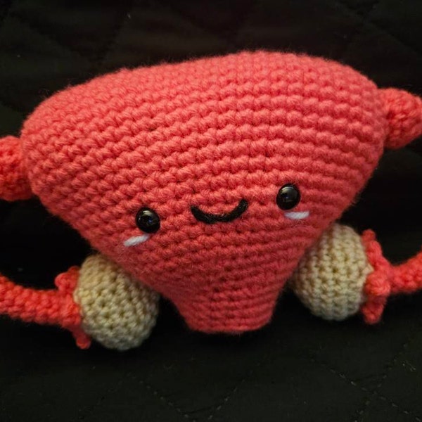 Anatomical Uterus Crochet Pattern! PATTERN ONLY Instant DOWNLOAD ...