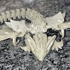 Nightwing Dragon: Cinderwing3d, STL File for 3D Printing, Cute Fantasy ...