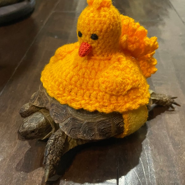 Tortoise Sweater Baby-sombrero. Sombrero Hat for Tortoise, Turtle ...