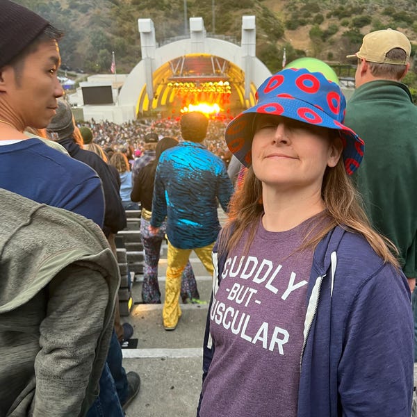 Phish CUSTY Embroidered High Quality Hat - Etsy