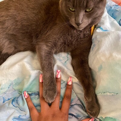 Boo Press on Nails Fake Nails False Nails - Etsy