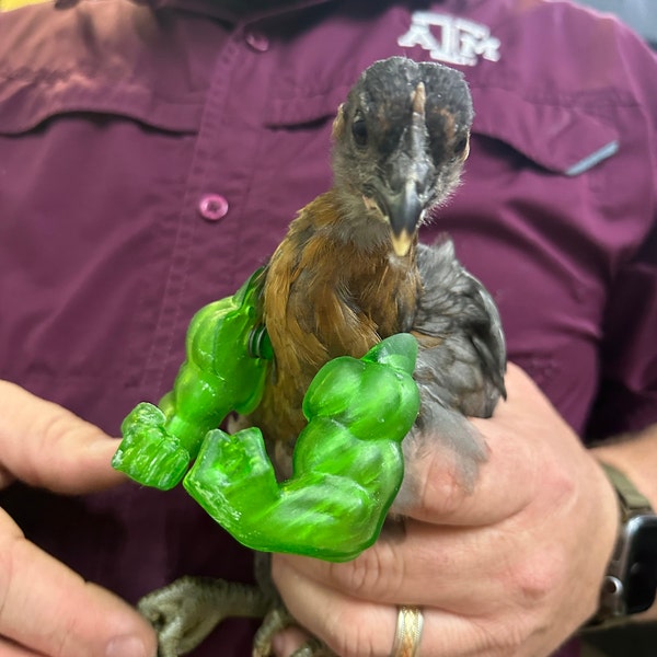 Lone Wolf Wall Companion: 3D Printed Wolf Head Wall Mount With ...