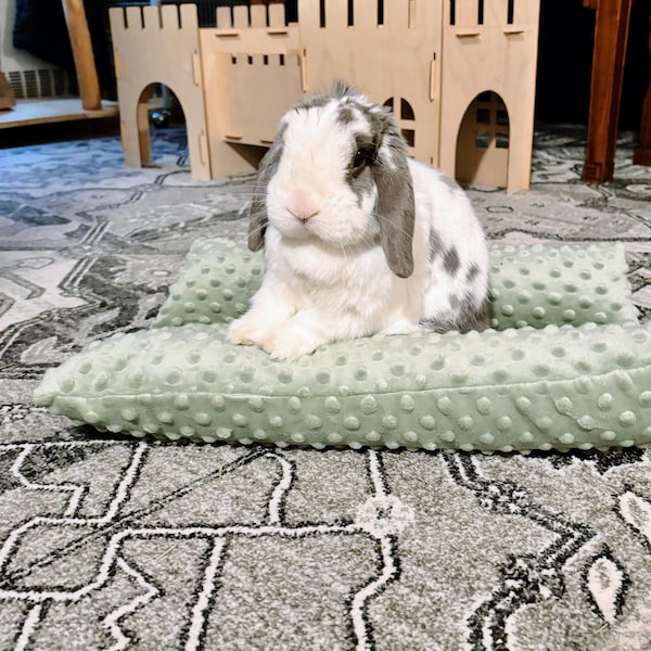 DIGITAL DOWNLOAD PLANS for Luxury Bunny Cubby | Rabbit Cat Home Base ...