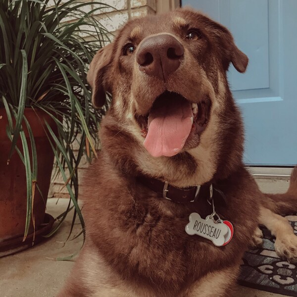 TAMUCC Islander Vinyl Sticker - Etsy