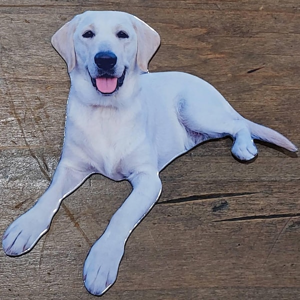 Custom Pet Magnets | Cute Animal Magnets | Decorative Magnets | Dog Cat ...