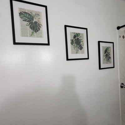 Set of 6 Frog Themed Dictionary Prints - Etsy