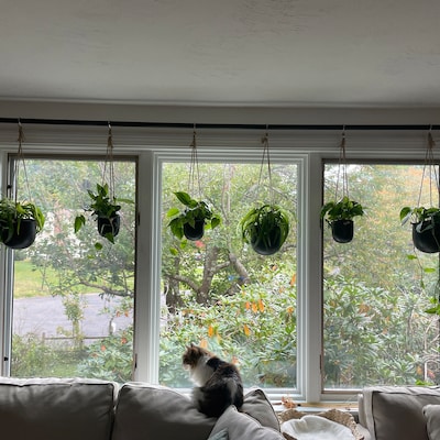 Boho Vintage Cat Tail Woven Plant Stand - Etsy