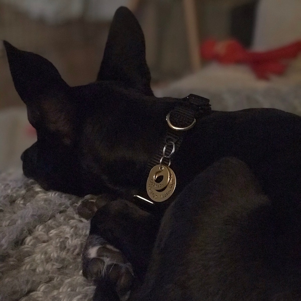 Moon Shadow Rugged Stainless Steel and Brass Dog Tag - Washer Pet ID ...