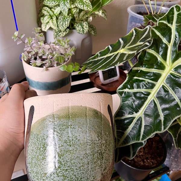 Elliot Planter - Speckled Ombré - Ceramic Pot in Multiple Sizes - Etsy