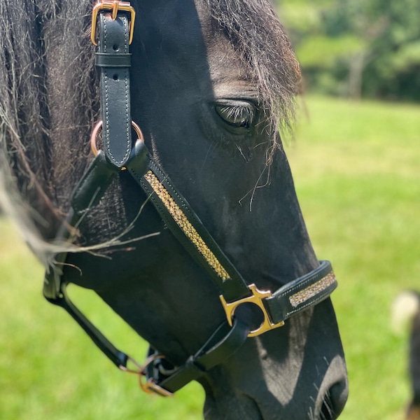 Snap Browband Diy Empty Channel Browband Make Your Own Browband Quick ...