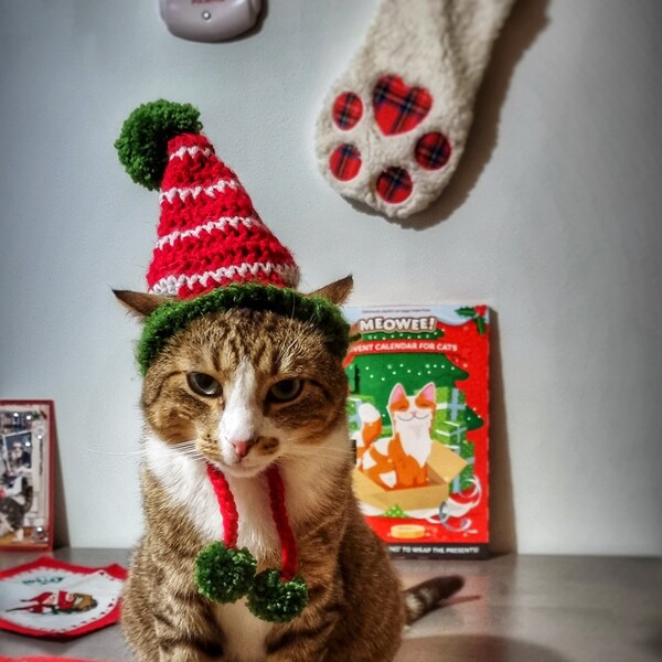 Elf Hat for Cats, Cat Elf Hat, Holiday Cat Hat, Christmas Hat for Cats ...