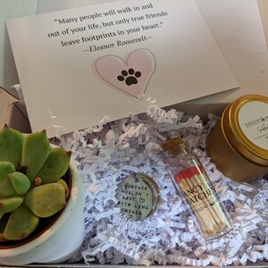 CAT SYMPATHY GIFT Loss of Cat Cat Loss Sympathy Gift Sorry for Your ...