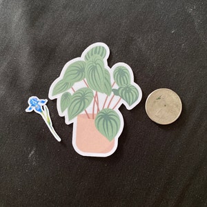 Fig Leaf Confetti Fig Leaf Cut Outs Fig Leaf Die Cuts Leaf - Etsy