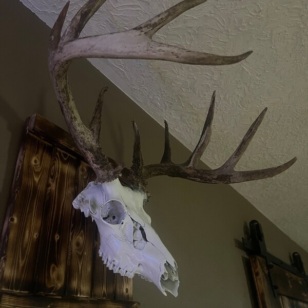 Rustic European Mount Wall Plaque - Torched Wood - Etsy