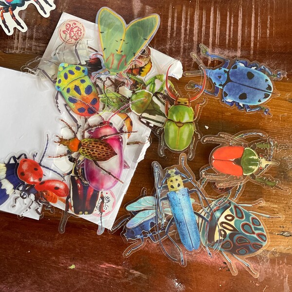 20 Insect Stickers. Clear Cello Bug Stickers,beetle Wildlife Pack for ...
