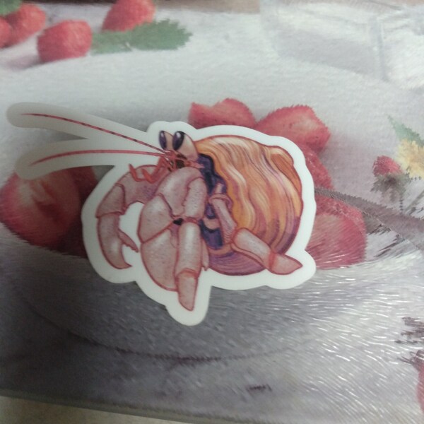 Hermit Crab in Shell Sticker, Crab Decal, Waterproof Vinyl Sticker for ...