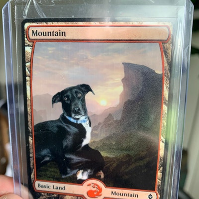 Personalized Pet Magic the Gathering Foil Land - Etsy