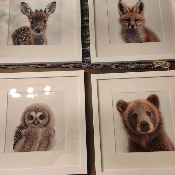 Cute Baby Animals, Set of 6 Woodland Creatures Prints, Outdoor Nature ...