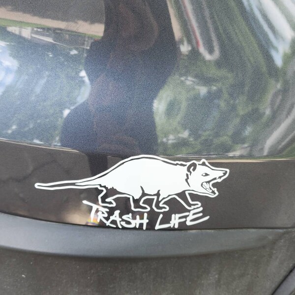 Trash Life Opossum - Marsupial, Possum, Wildlife, Love, Cute, Roadkill ...