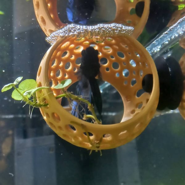 Betta Lair, Aquarium Swim Through Cave Decoration for Aquatic Pets ...