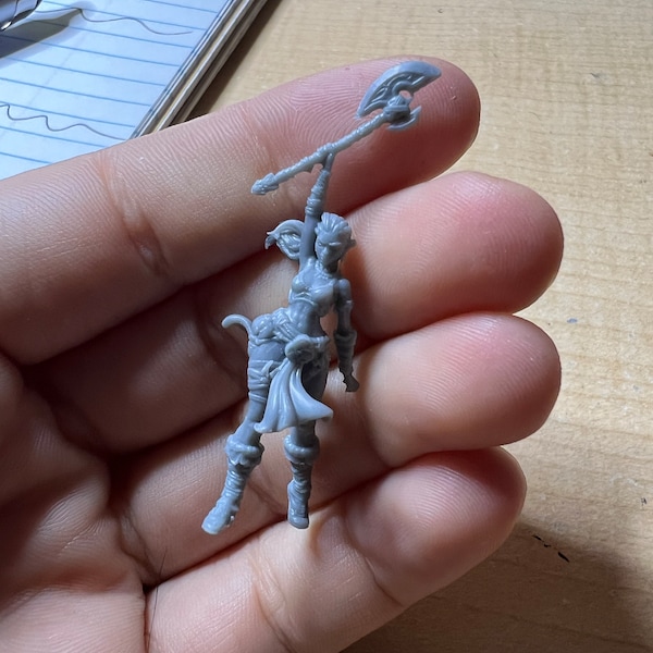 Sia the Elf Barbarian - Nerikson - Wargaming D&D Dnd - Etsy
