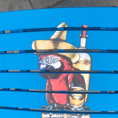 Tequila Parrot Decal, Full Color Drinking Parrot Sticker, Drinking ...