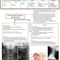 The Size and Shape Distortion Section - Etsy Canada