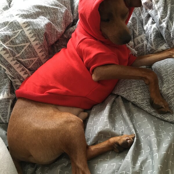 Red Dog Hoodie - Red Dog Sweater - Red Dog Jumper - Dog/puppy Clothing ...