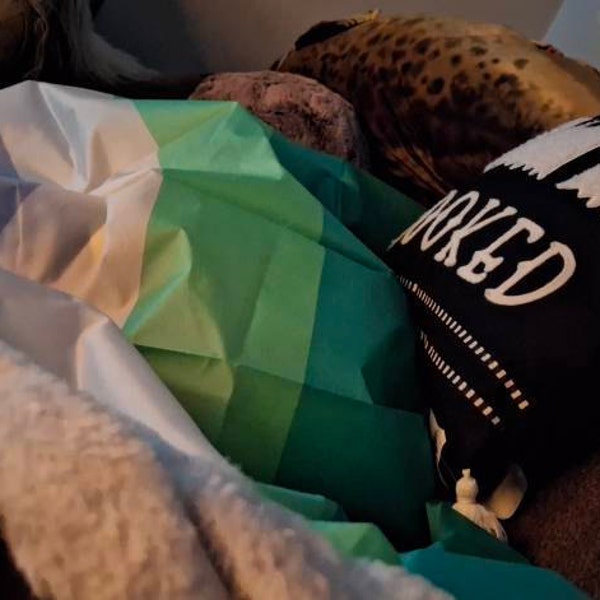 DIGITAL FILE: Printable Extended Pride Flag Reference Guide - Includes ...