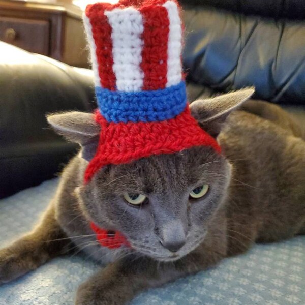 Uncle Sam Hat for Cats, 4th of July Cat Accessory, Independence Day ...