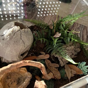 Plastic Moss Pads: Artificial Aquarium Plants Reptile Terrarium Plants ...