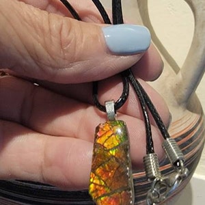 Agatized Turritella Shells - Etsy