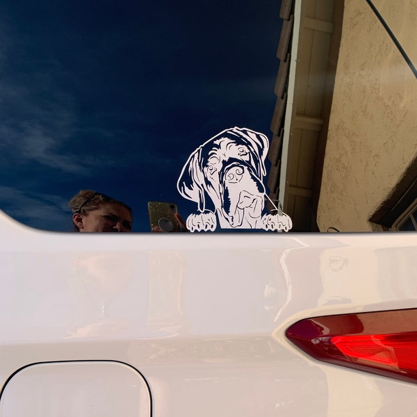 Cane Corso Decal | Peeking Cane Corso Decal | Cane Corso Sticker ...