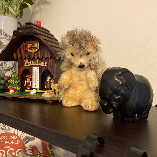 Guides of the Hidden Realms Oracle by Collette Baron-reid. This is a ...