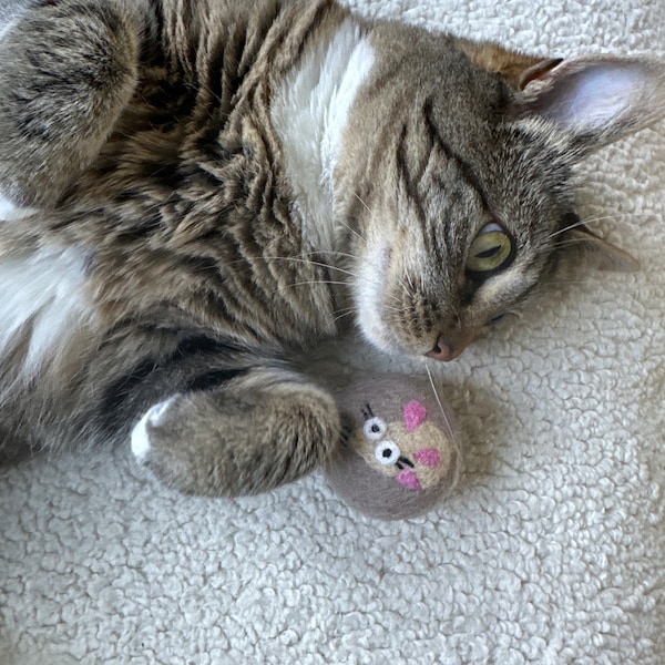 Love Ewe Handmade Felt Pet Toys for Cats, Kittens, Dogs, Small Pets ...