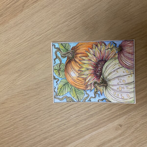 Fall Flowers and Pumpkins Digital Coloring Page Thanksgiving, Mums ...