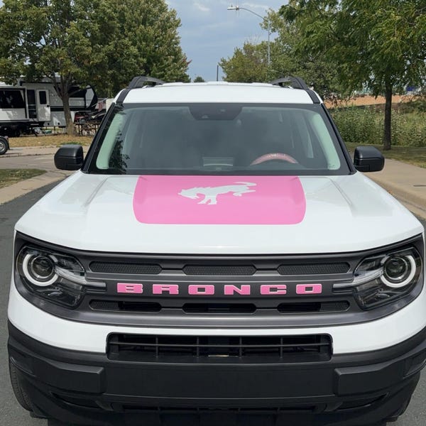 2010-2014 Ford Raptor Grill Letters Decals - Etsy