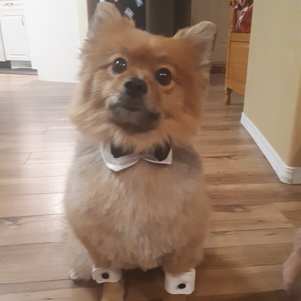 Dog Cuffs~non-slip Feature~dog Tuxedo~dog Cuffs With Satin Buttons to ...