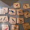 Wooden Birds Memory Game, Montessori Toys, Wood Animals Matching Cards ...