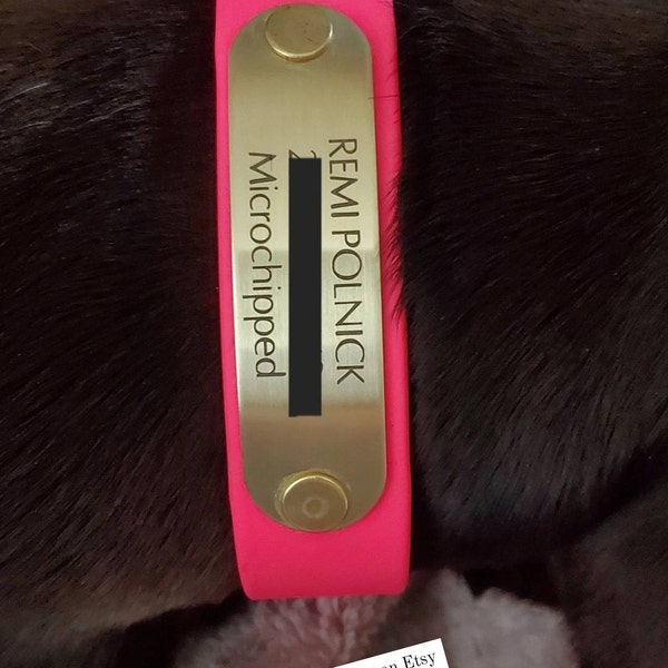 Blaze Orange Waterproof Hunting Dog Collar - Personalized Engraved ...