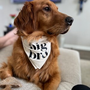 The Big ONE Shirt, Surfer Themed Party, Wave, First Birthday, Bday Boy ...