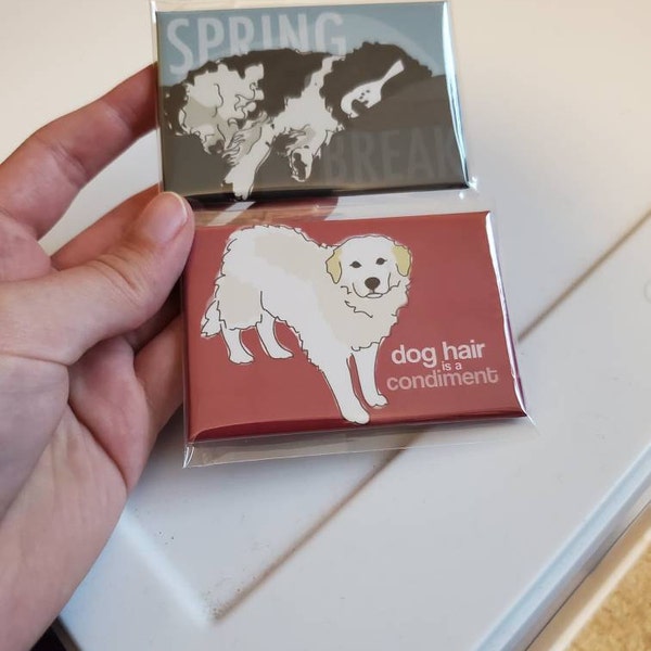 Springer Spaniel Magnet - Spring Break - Black and White Springer ...