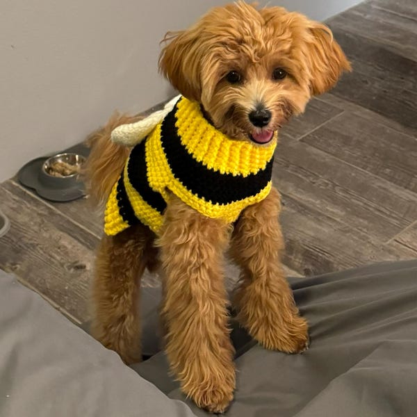 Bumblebee Dog Sweater / Halloween Costume Available in 4 Sizes - Etsy