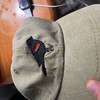Doberman Pinscher Embroidered Hat, Baseball Cap, Dog Lover Gift, Pet ...