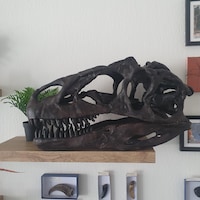 Life Size Utahraptor Skull - Etsy Canada
