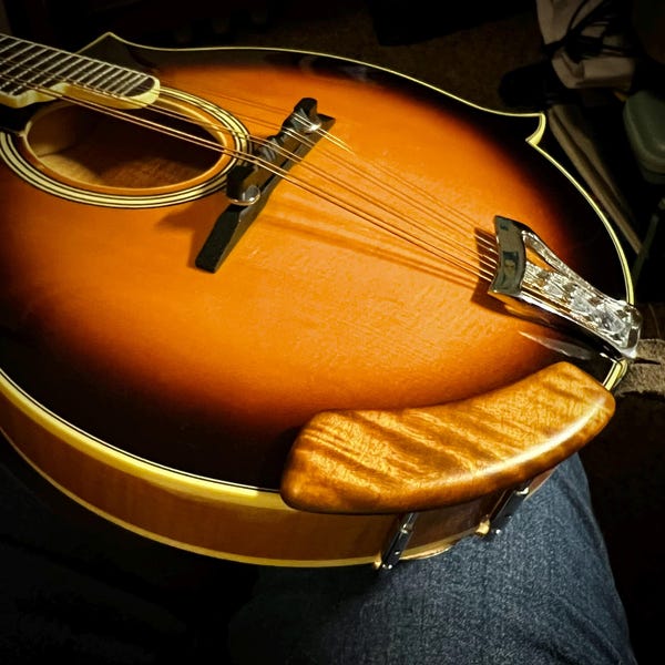 Premium Instrument Case Stand for Guitar, Violin, Mandolin, Banjo ...