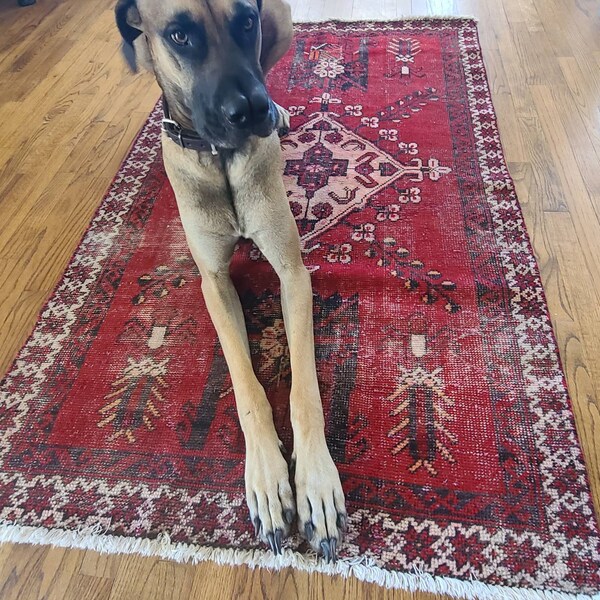 3x5 Brick Red Black Vintage Oriental Rug Handwoven Tribal Accent Rug ...